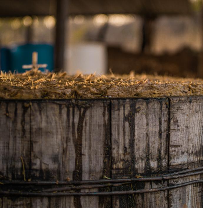 Mezcal Ancestral Viejo Barbón